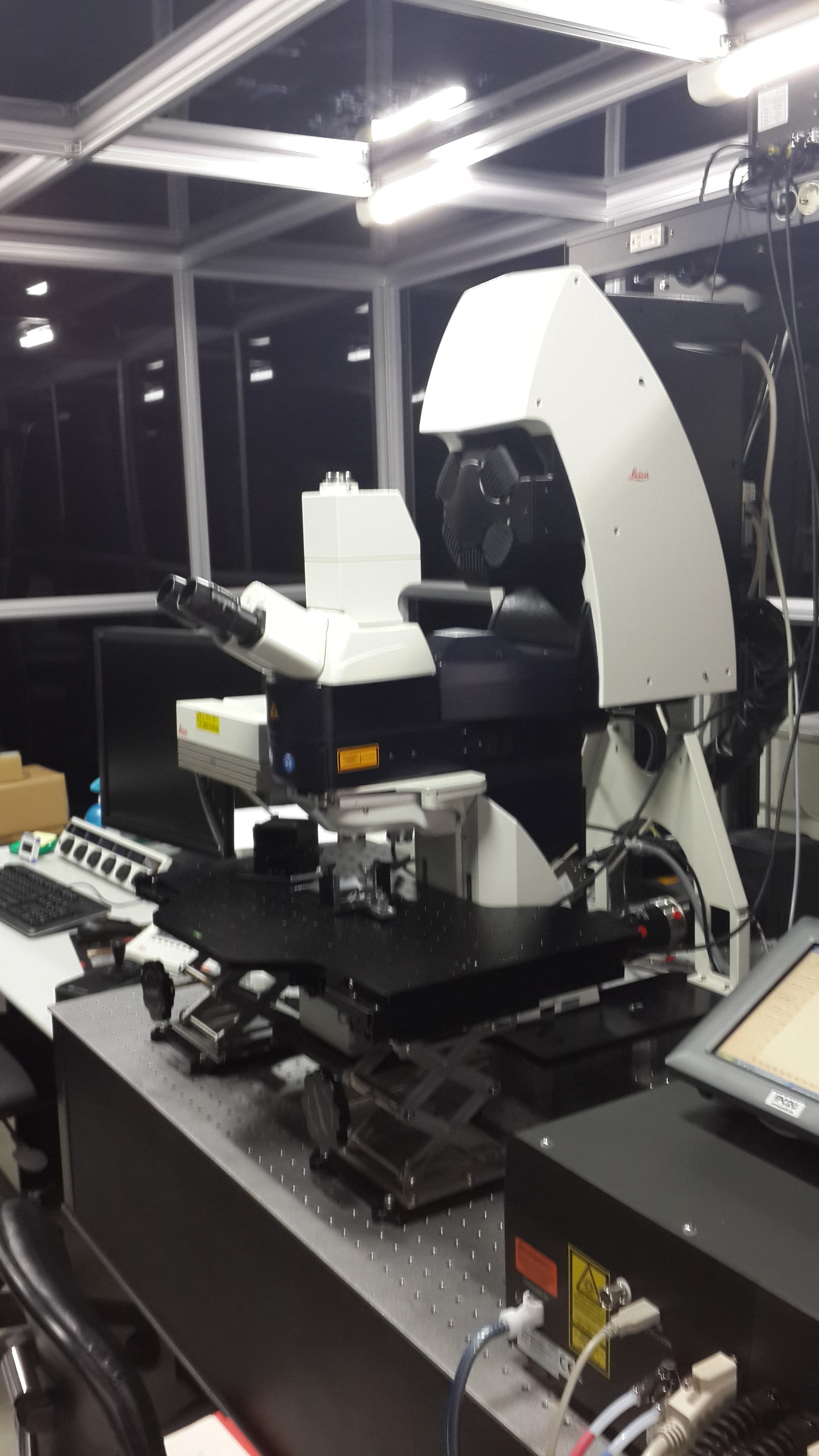 Optical Microscopes > Equipment > Facilities > ibs