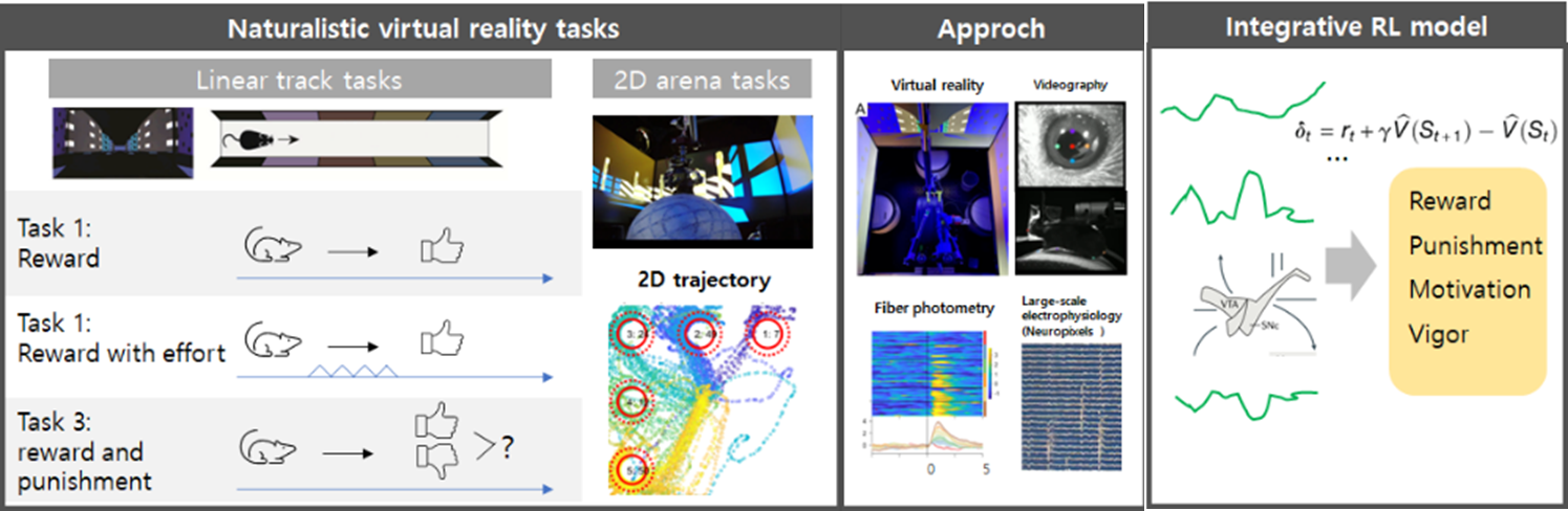 Naturalistic Neuroscience Team > Brain Science Group > Research > ibs