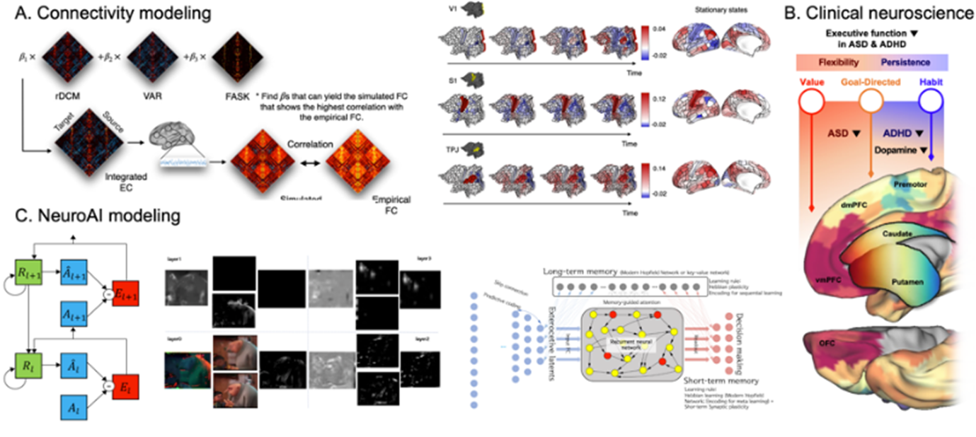Computational Neuroscience Team > Brain Science Group > Research > ibs